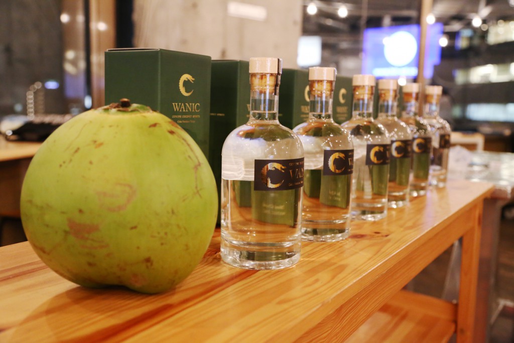 WANIC VIENTIANE 2015 Release Party | Wanic Co., Ltd.